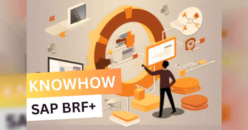 Business Rule Framework plus | BRF+ | BRFplus - Mindforms