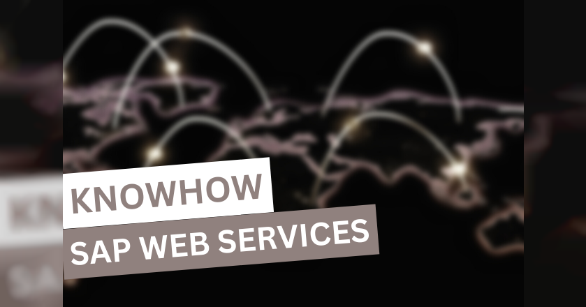 SAP Web Services im Detail - Aufbau, Features & Stärken
